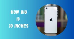 How Long Is 10 Inches? 11 Common Things That Are 10" Long