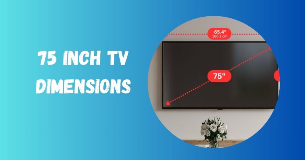 75 Inch TV Dimensions: Complete Guide With Facts & Examples