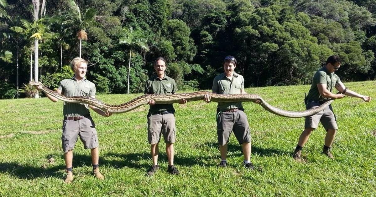 How Long is 5 Meters: A Complete Guide With Distances & Things That Are 5 Meters Long